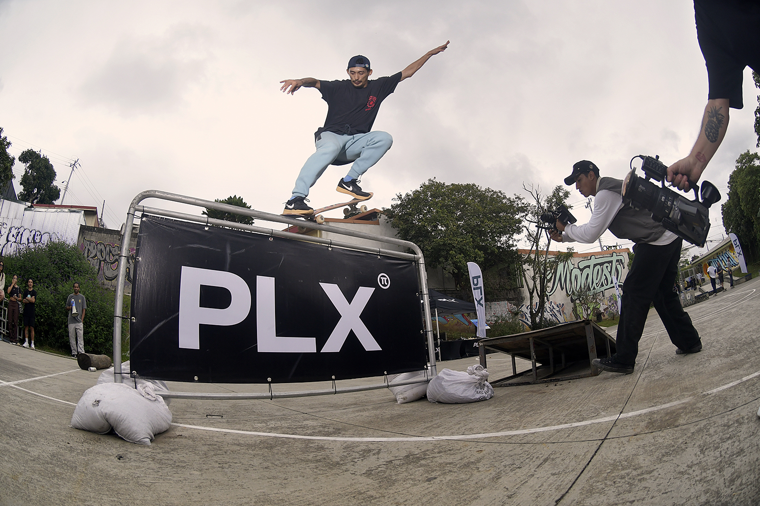 PLX KING OF PINTO II - Tiendas PLX